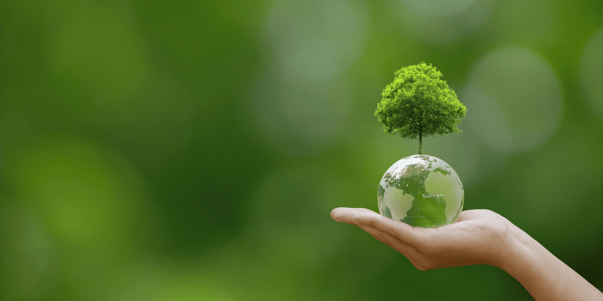 KAPP - The OptimICE® Company